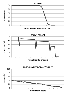 Introduction to Palliative Care and Palliative Nursing Practice ...